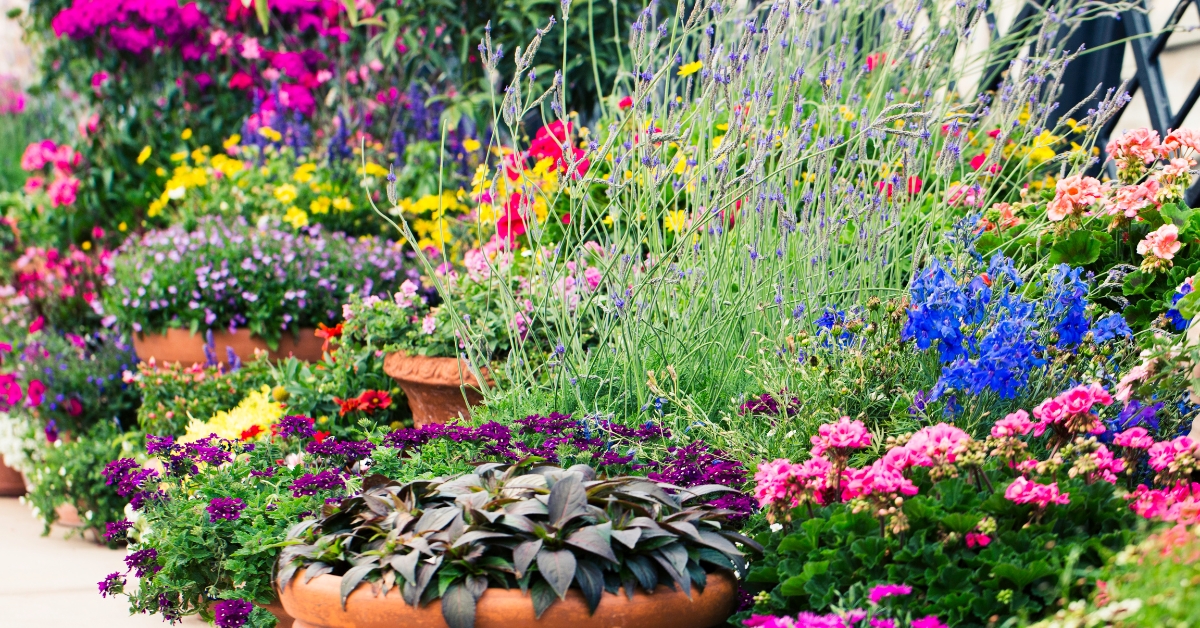 The Ultimate Guide to Creating a Successful Container Garden - Home ...