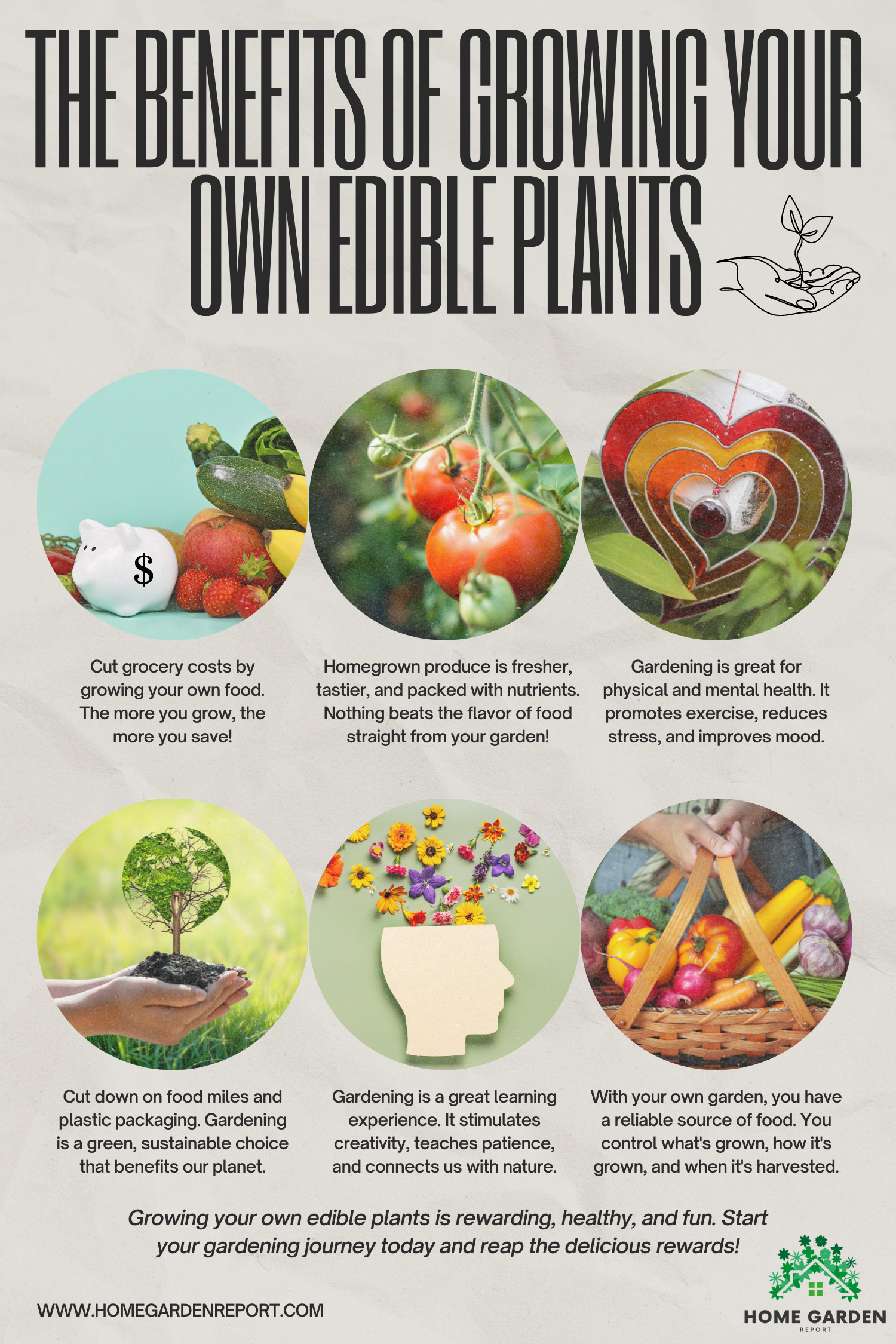 10 Edible Plants That Are Easy to Grow in Small Spaces - Home Garden Report