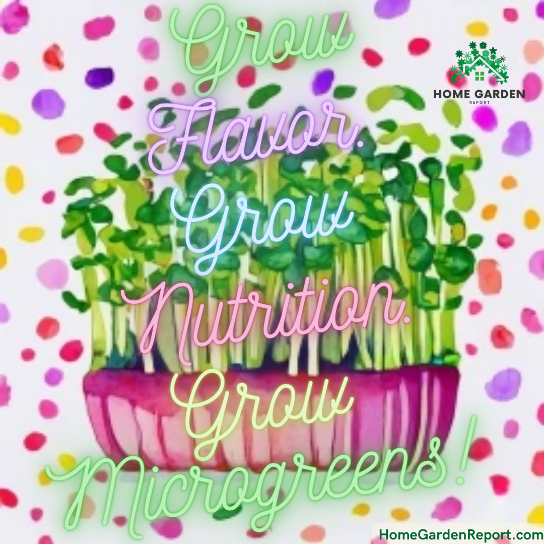 The Ultimate Guide to Growing Your Own Microgreens at Home - Home ...