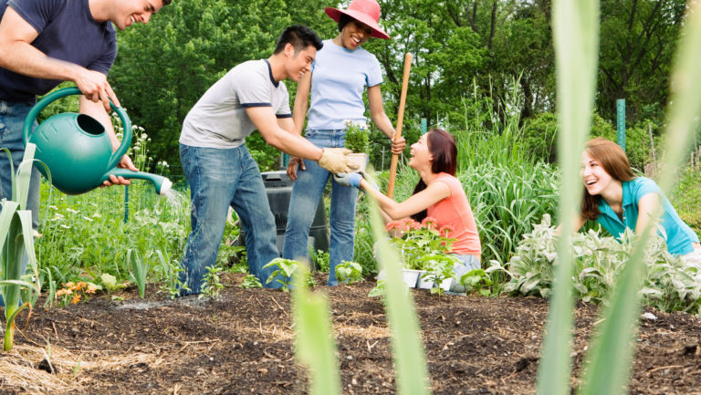 Growing Friendships: The Benefits of Gardening for Social Connection ...