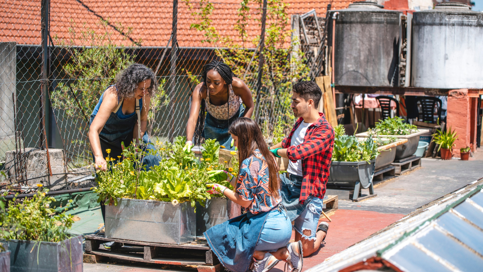 Growing Friendships: The Benefits of Gardening for Social Connection ...