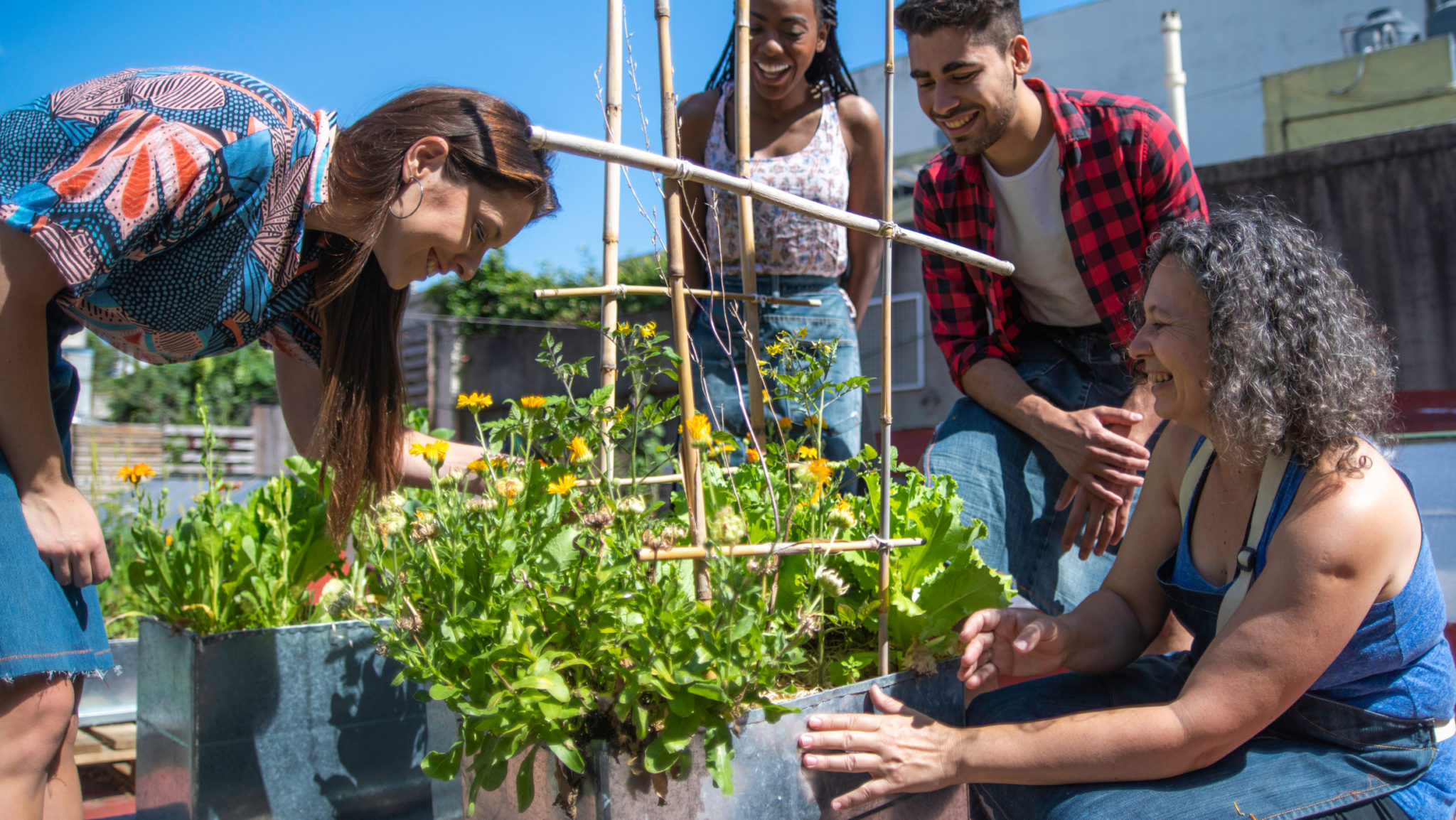 Growing Friendships: The Benefits of Gardening for Social Connection ...