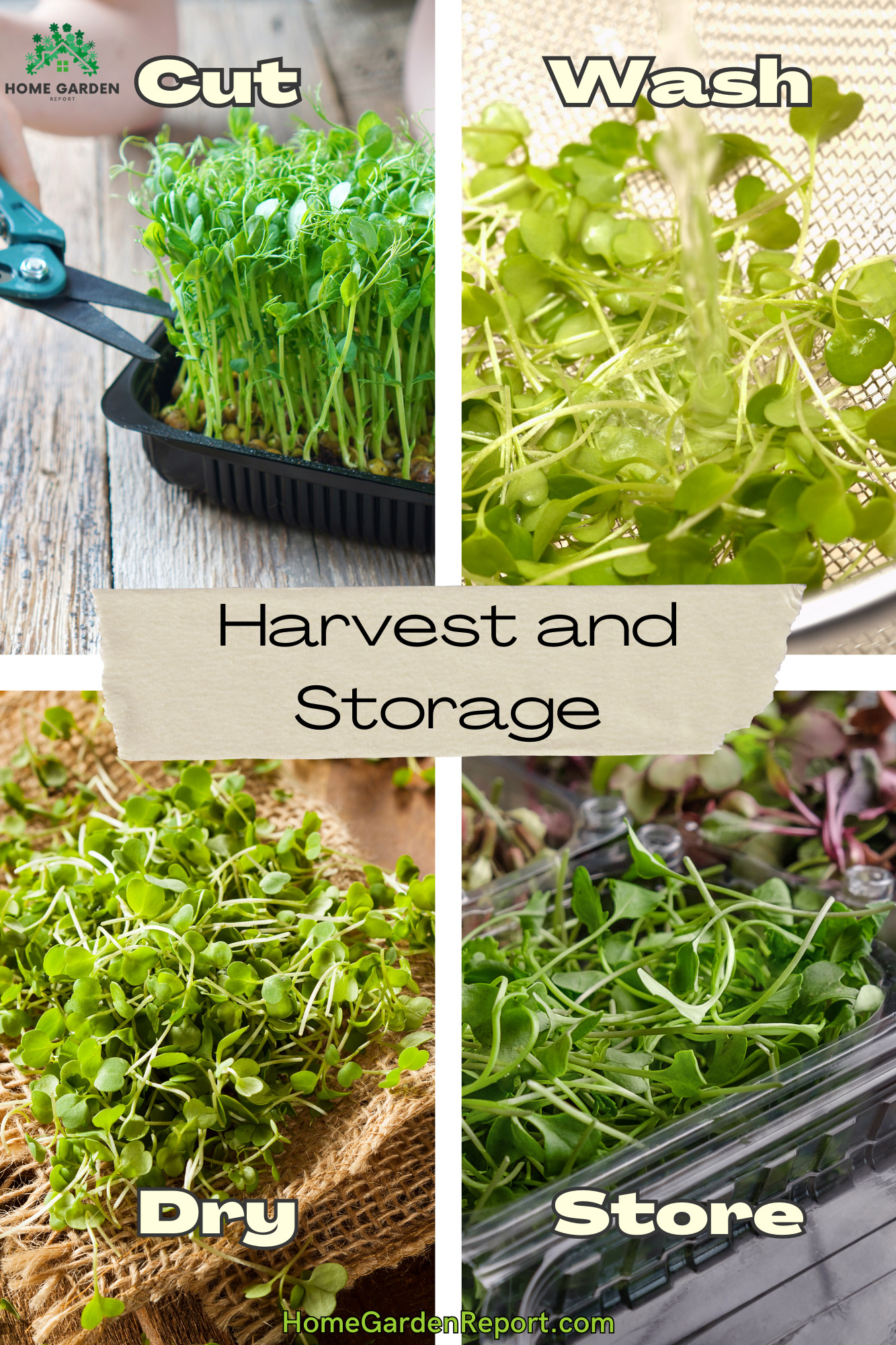 The Ultimate Guide to Growing Your Own Microgreens at Home - Home ...