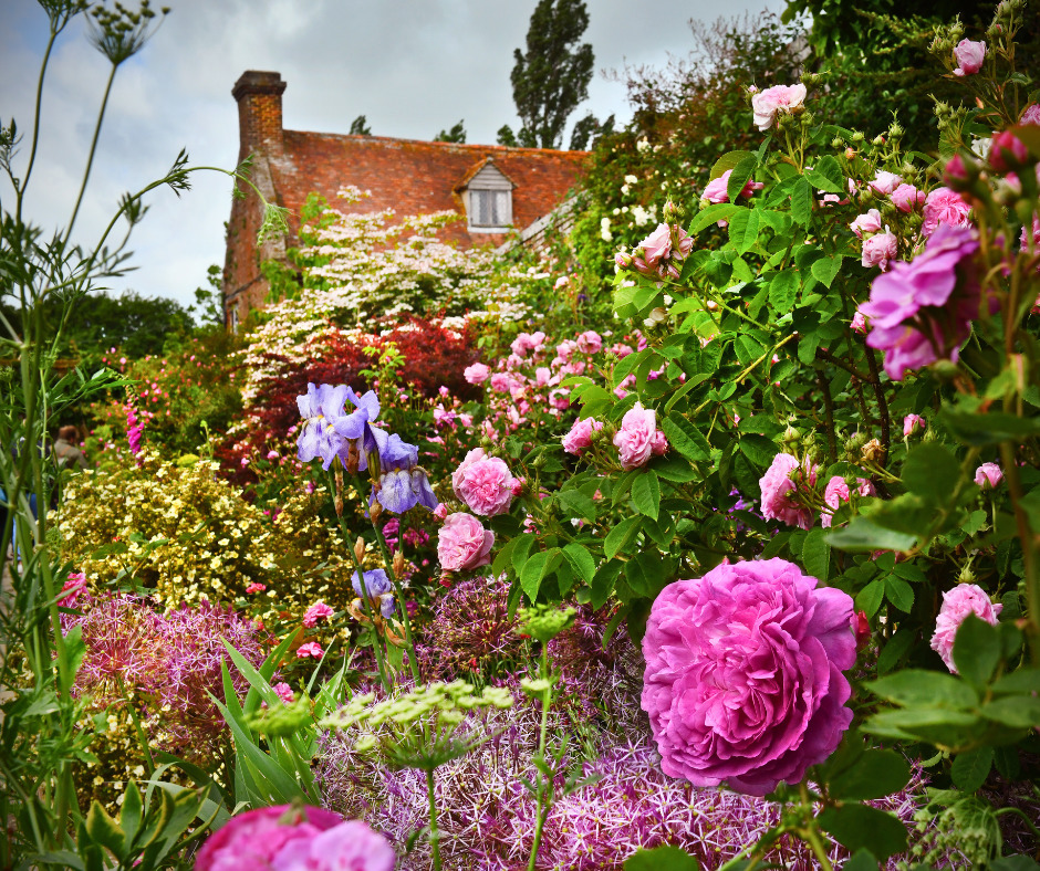 Home - Home Garden Report