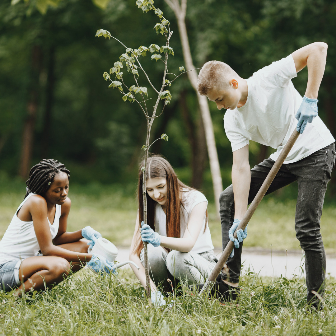Planting the Future: How to Make a Difference by Planting a Tree in ...