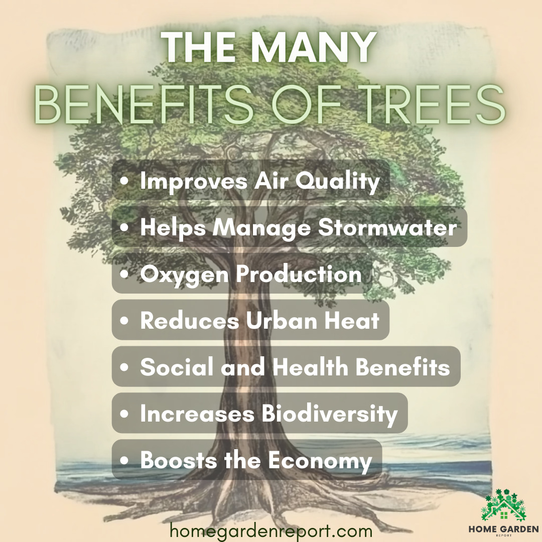 Planting the Future: How to Make a Difference by Planting a Tree in ...