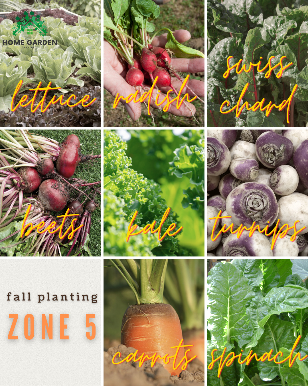 Fall Crop Planting Made Easy: Tips for All Climates - Home Garden Report