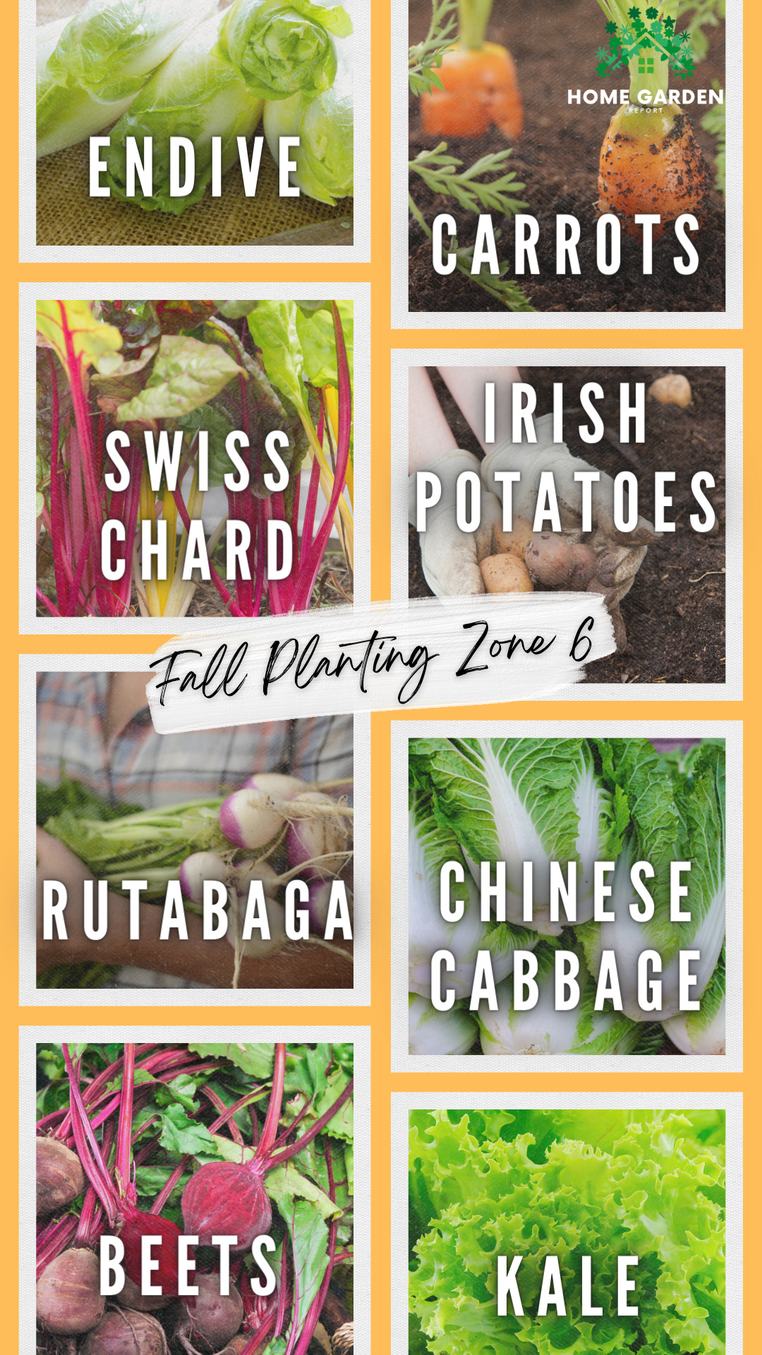 Fall Crop Planting Made Easy: Tips for All Climates - Home Garden Report