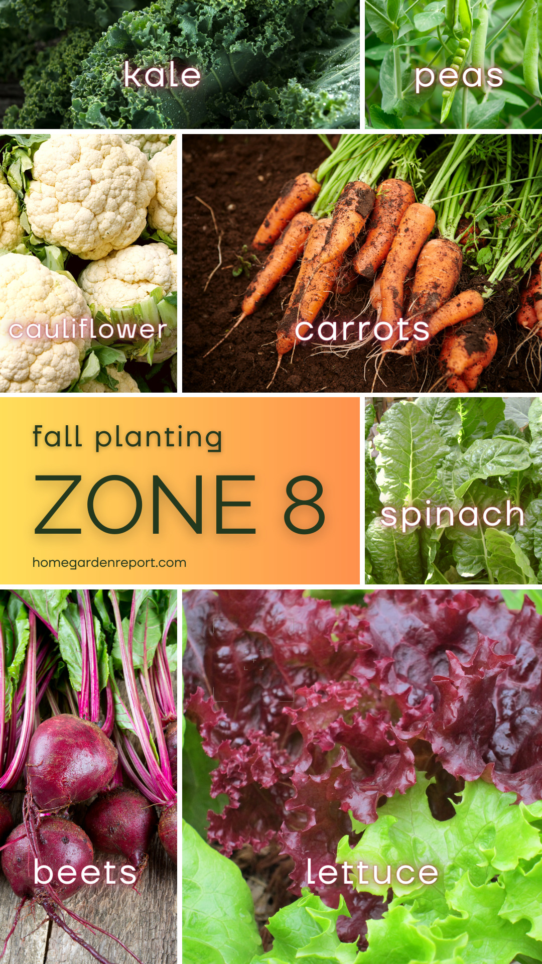 Fall Crop Planting Made Easy: Tips for All Climates - Home Garden Report