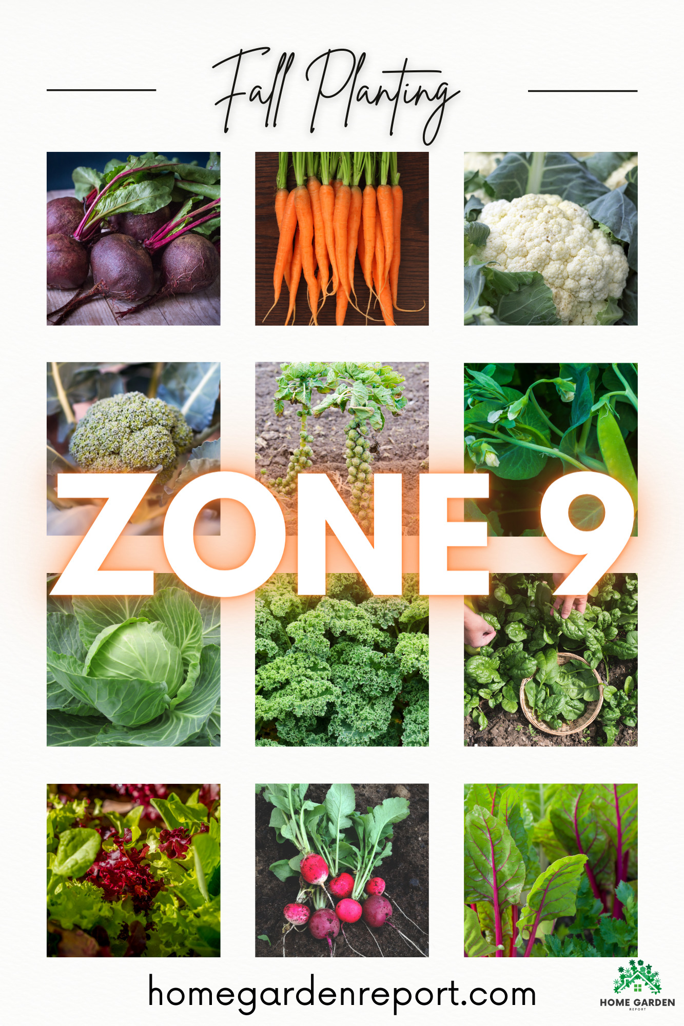 Fall Crop Planting Made Easy: Tips for All Climates - Home Garden Report